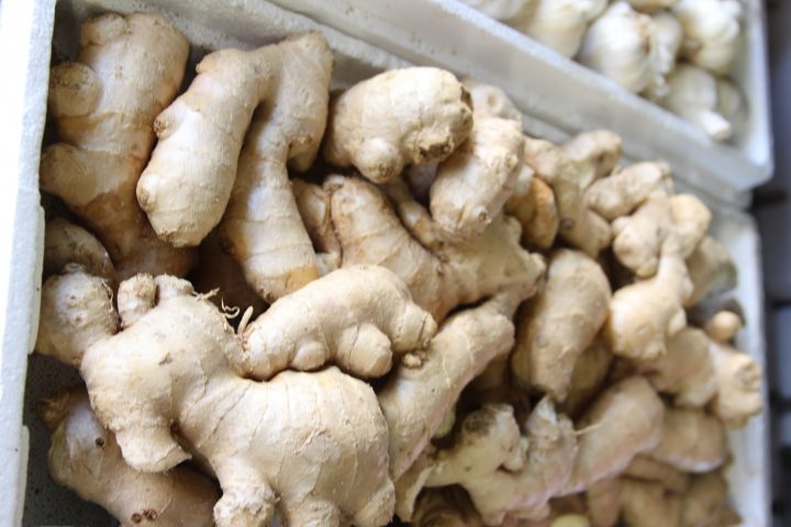 Top 12 Asian Edibles to Grow in Florida - Kenny Coogan - carnivorous plants