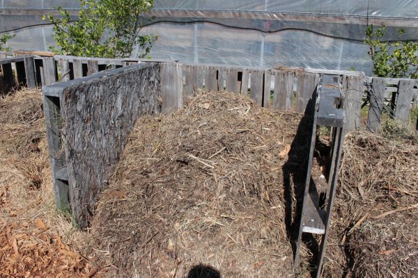 How to Set up a Three-bin Compost System - Kenny Coogan - carnivorous ...