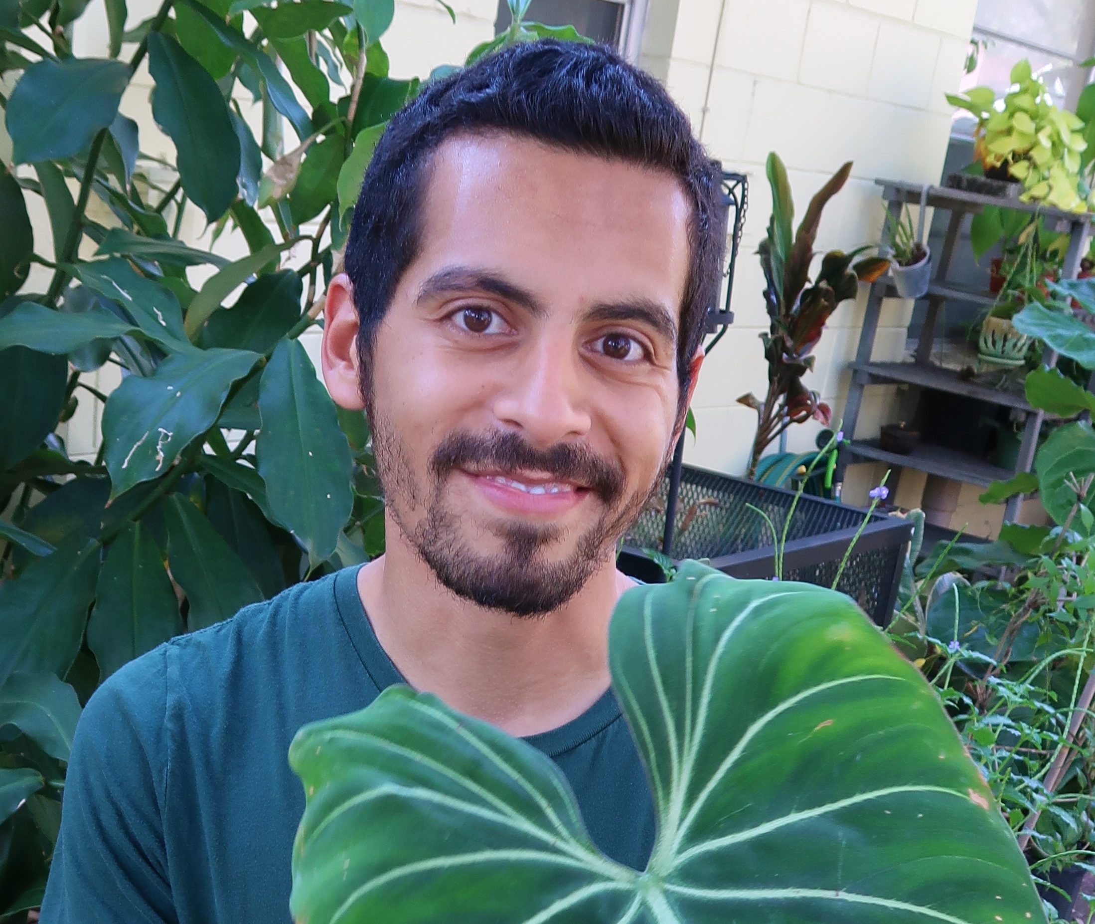 Philodendron Fanatic - Josh Caraballo - Kenny Coogan - carnivorous plants