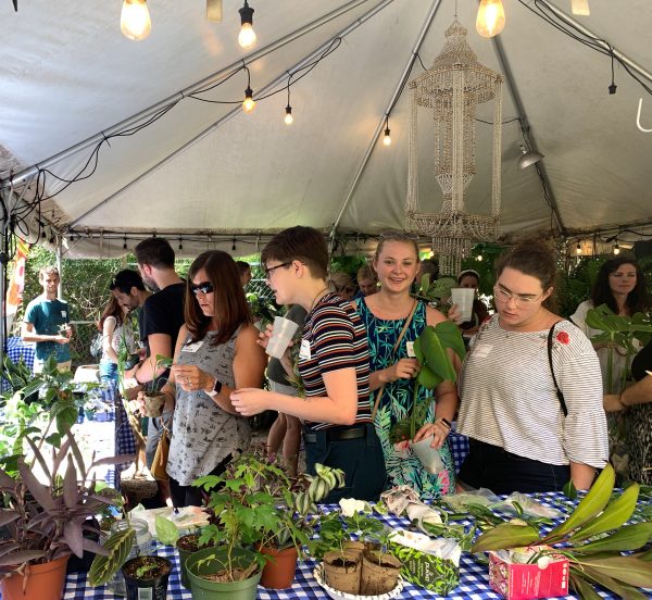 Tampa Bae Plants: Bringing Plant People Together - Kenny Coogan ...